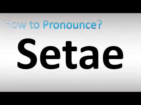How to Pronounce Setae
