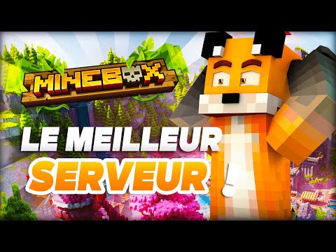 Ce Serveur va RÉVOLUTIONNER Minecraft en 2025 (Minebox)