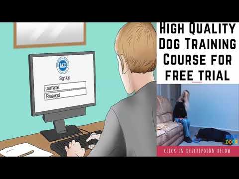 how to find a dog by akc registration number code video