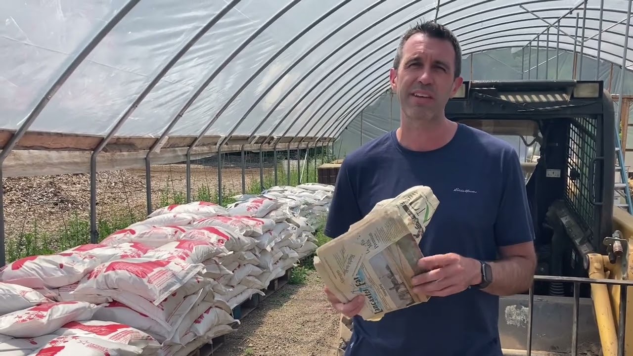 Can I Compost It? Newspapers