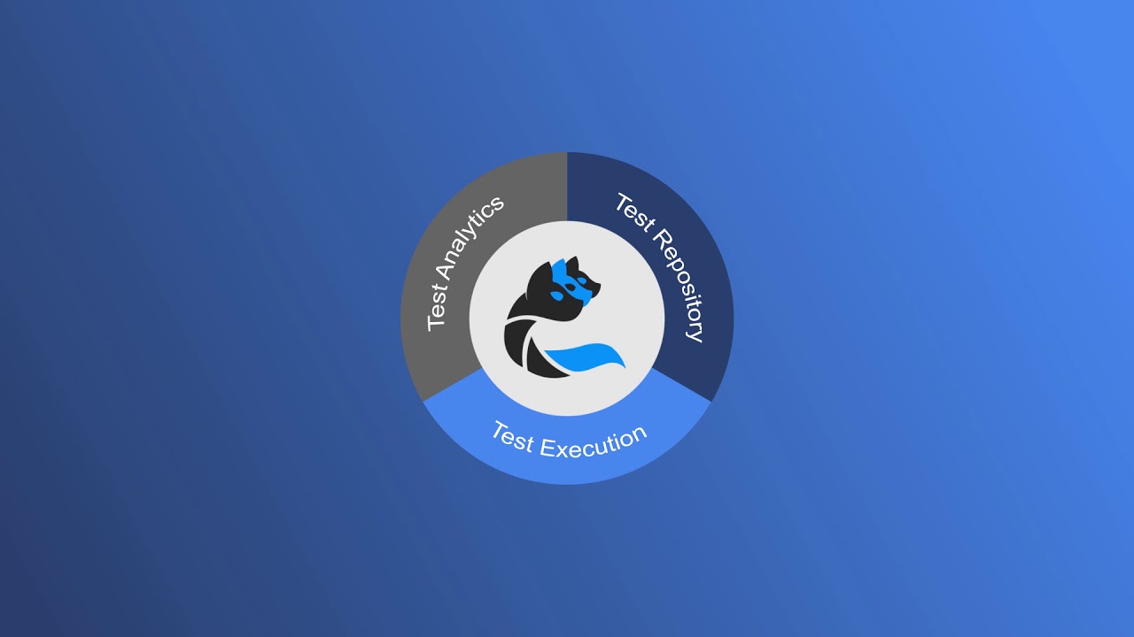 Cerberus Testing Product Overview