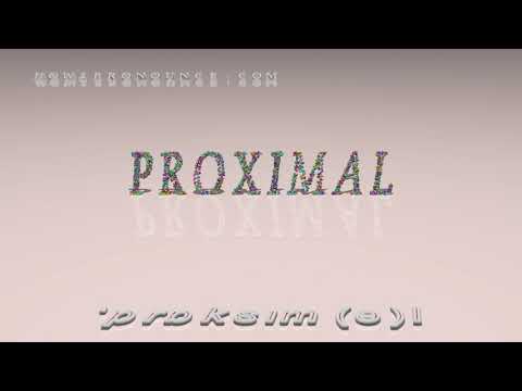 proximal - pronunciation + Examples in sentences and phrases