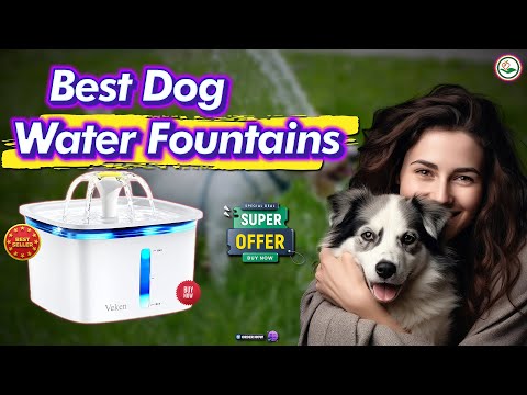 The BEST Dog Water Fountains Revealed Portable Options Included