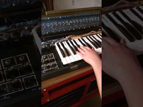 Paia Stringz 'n' Thingz Synth | Reverb