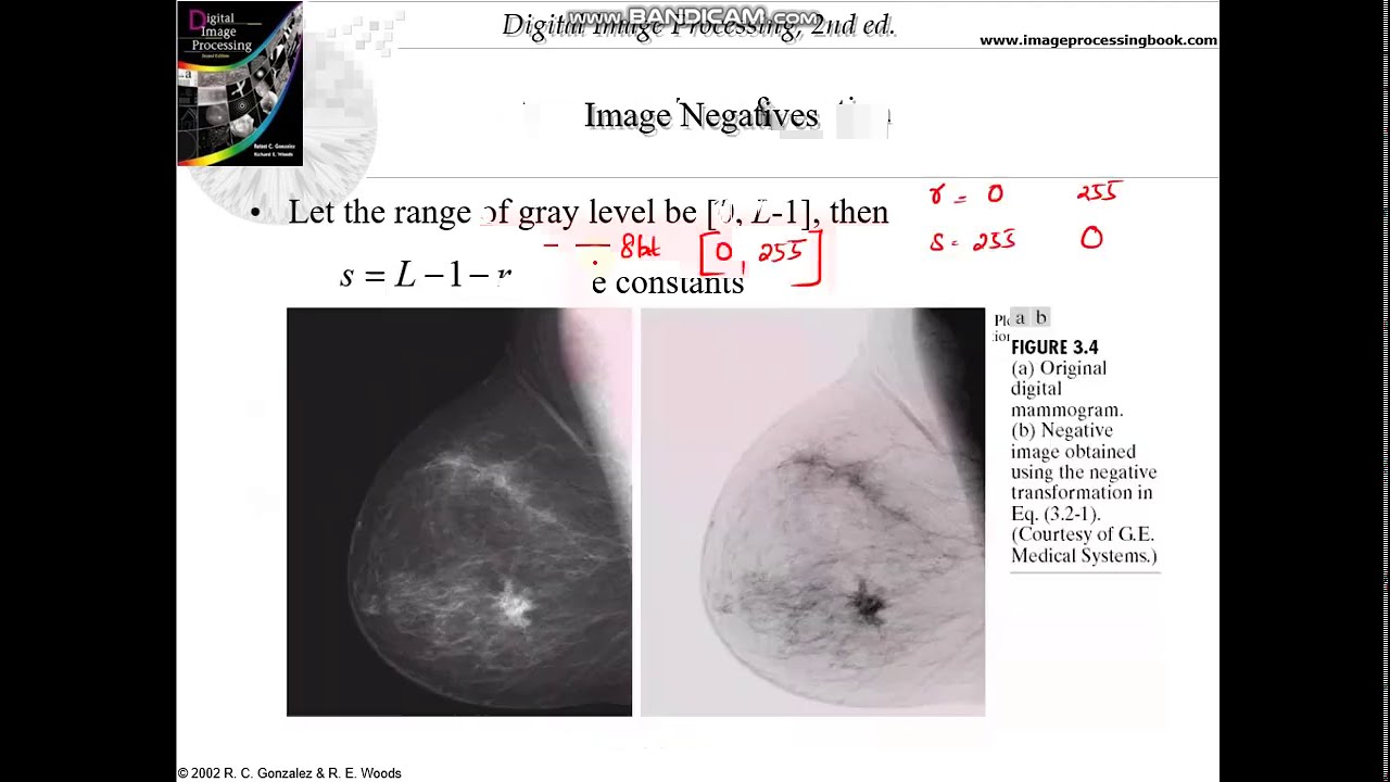 CS 463 DIP Basic gray level transformation function