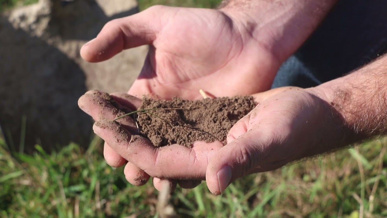Intensive Rotational Grazing at Murphy Meadow Farms