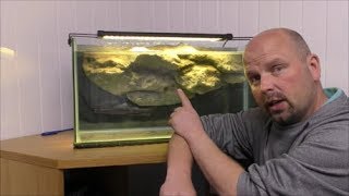 The Ultimate ‘Invisible’ DIY Aquarium Filter? - The DIY Aquarium