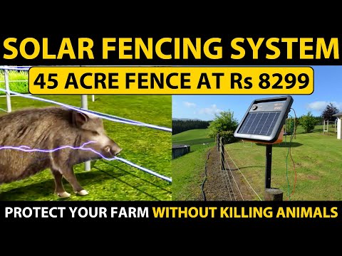 Solar Fencing System - Solar Fencing Security System Latest Price ...
