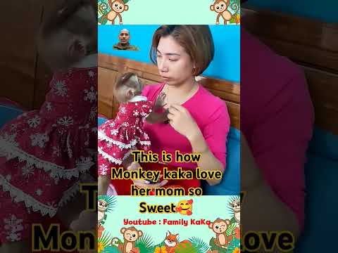 monkey kaka show some care to her mom sad crying how sweet🥰 #monkeykaka #monkey4u #babyanimal