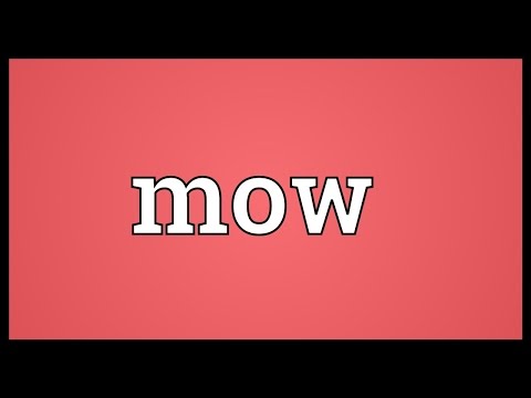 Mow Meaning