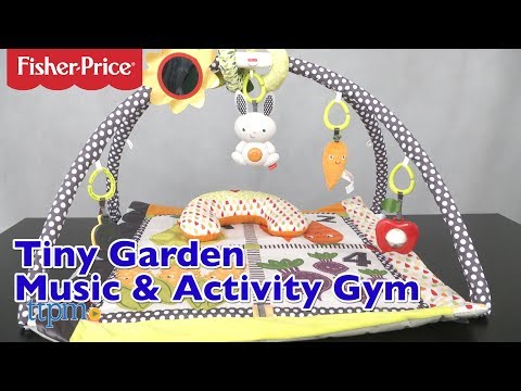 Tiny Garden Music & Activity Gym from Fisher-Price