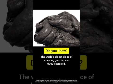 Oldest Gum | Interesting Fact - 89 #interesting #knowledge #interestingfacts #fact #facts #amazing