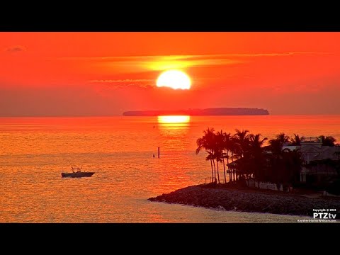 LIVE - Key West Harbor Webcam from PTZtv.