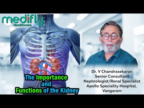 The Importance and Functions of the Kidney Dr. V Chandrasekaran
