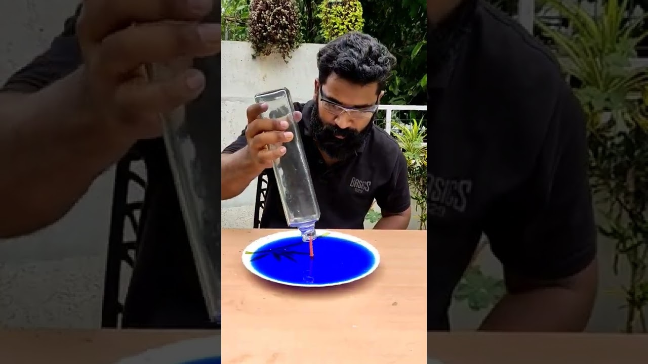 Just For Fun #shorts