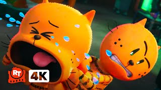Dog Man Lil Petey Petey The Cat Crying 2025 Watch HD Mp4 Video Download ...