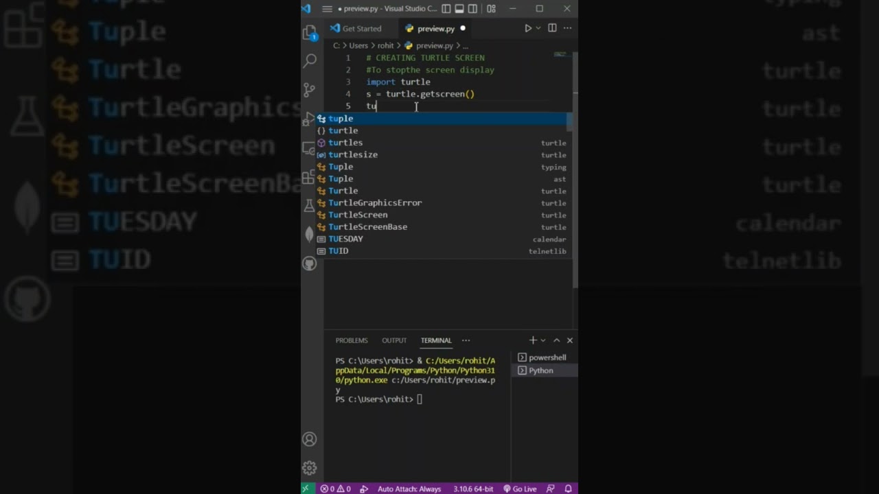Create A Turtle 🐢 Screen In Python | Python Programming Project | Python Tutorial #shorts #python