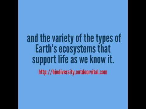 Why Is Biodiversity Important – A Primer