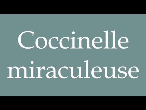 How to Pronounce ''Coccinelle miraculeuse'' (Miraculous ladybug) Correctly in French