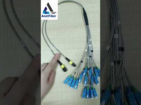 Fiber Optic 16 cores MPO to SC UPC Armored Optical Patch Cable