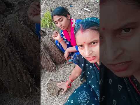 English with dehati madam....#englishgrammar #englishforbeginners #shorts #viral