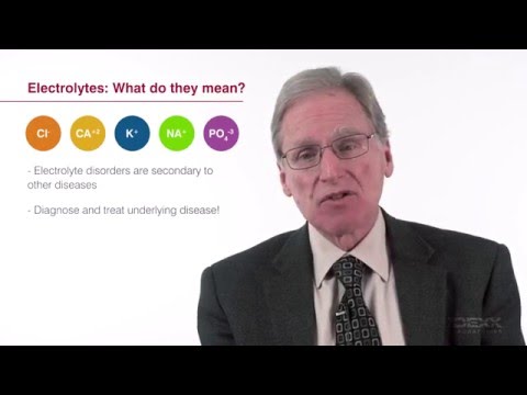 IDEXX - Electrolytes: What do they mean?