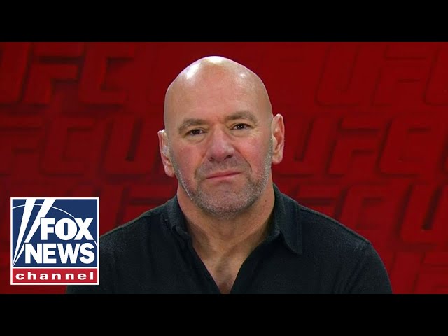 UFC sponsors: Which brands are currently sponsoring the world's premier ...
