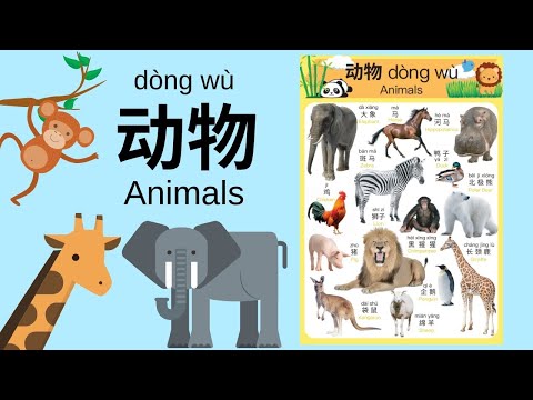 Animals in Mandarin – MANDARINWOW