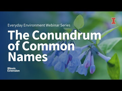 The Conundrum of Common Names, Everyday Environment