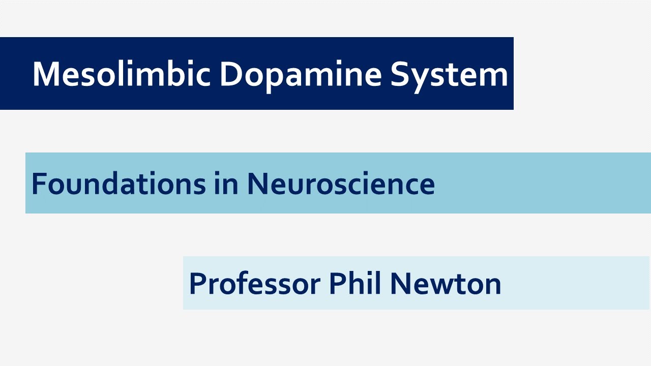 Mesolimbic Dopamine and Goal Directed Behaviour