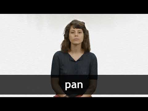 English Translation of “PAN” | Collins French-English Dictionary