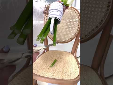 You guys are sleeping on calla lilies!