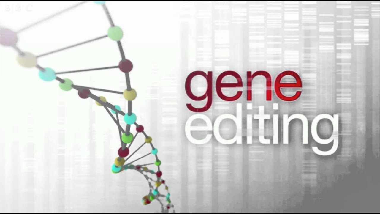Should scientists be allowed to modify human embryos?- BBC News