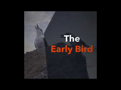 Mass Markets Vertical Early Bird Jobs Recruiting Video (15 Seconds)