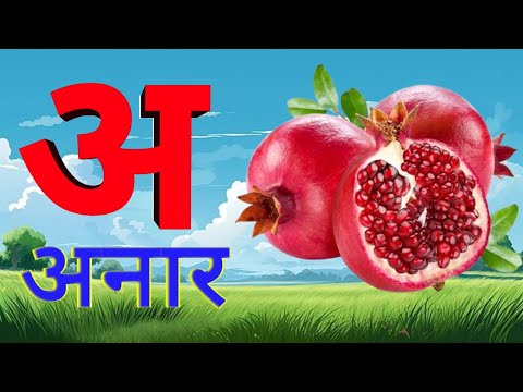 अ से अनार, आ से आम, हिंदी वर्णमाला, ka se kabutar, a se anar, aa se aam, हिंदीस्वरव्यंजन #kidssong