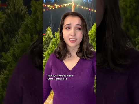 A real Hallmark Christmas movie#funny #hallmark #hallmarkchristmasmovies #funnyvideos #comedysketch