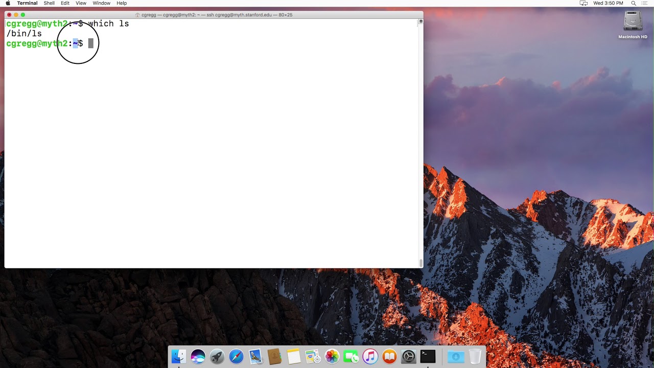 The working directory on linux computers