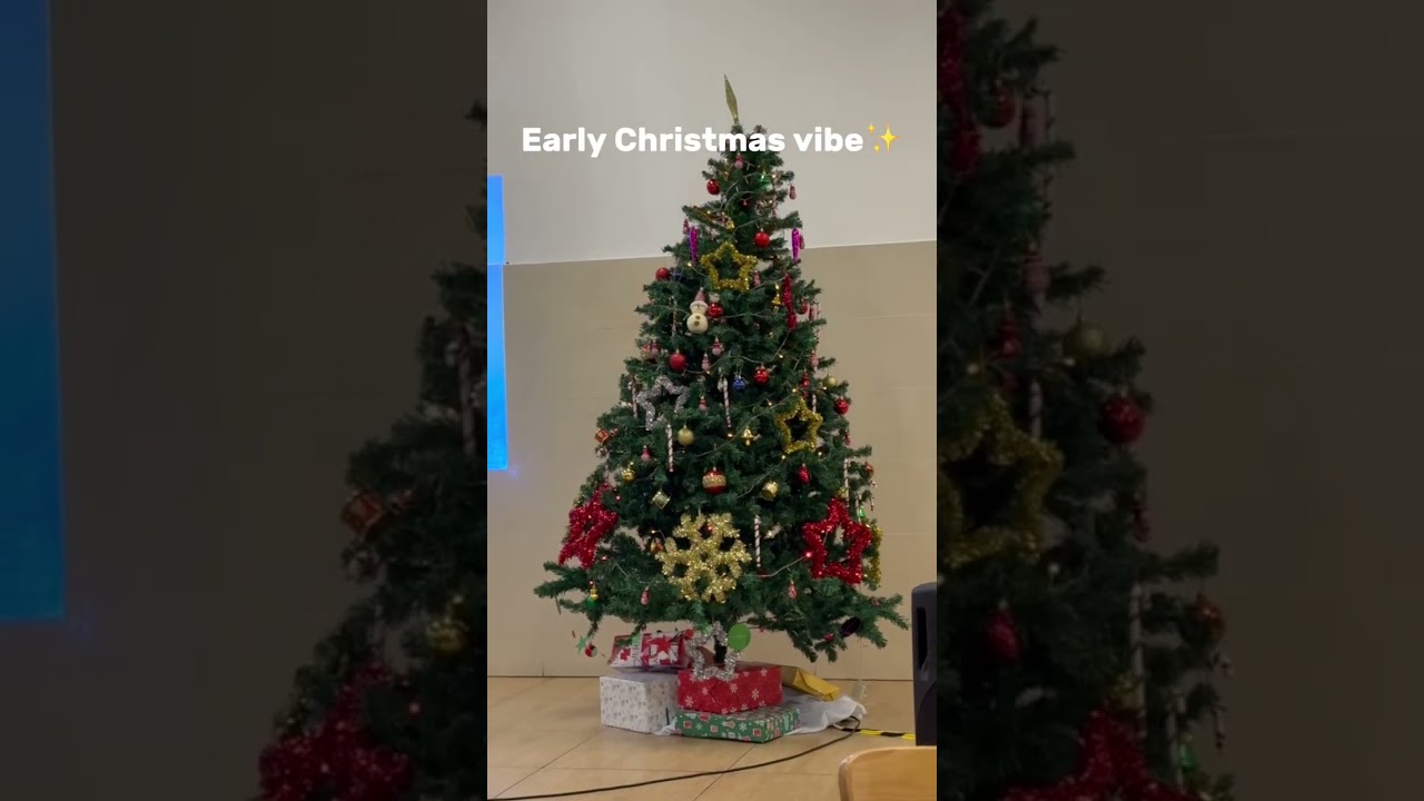 Mixed lunch to foster connectivity in FCIS #shorts #fcis #forestcity