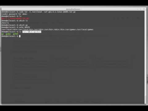 Go #0: Installing Go on Linux