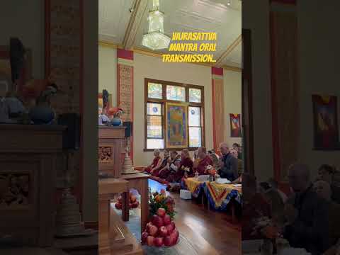 Rinpoche Transmits the oral transmission of Vajrasattva. 2023. #boulder #shorts #youtube