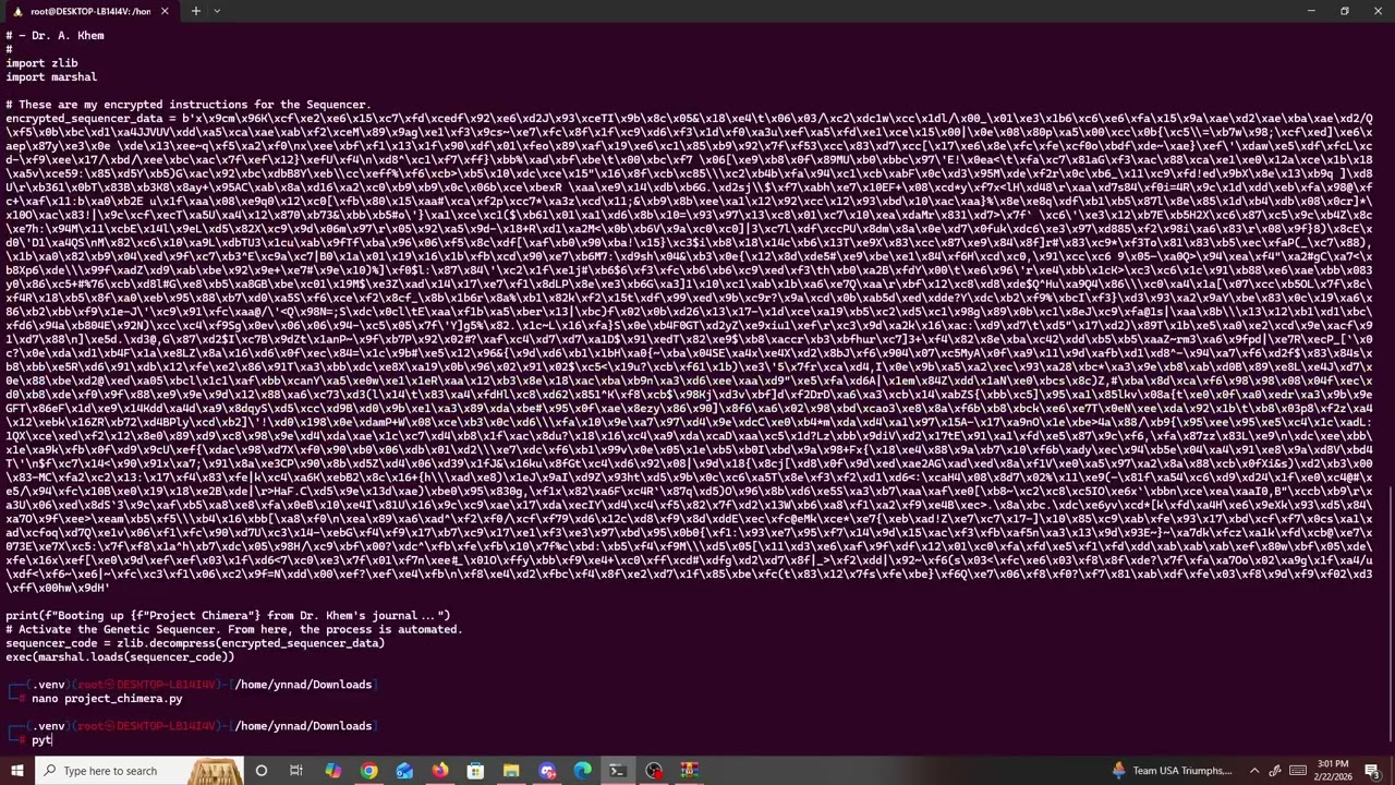 FLARE-On 12 Challenge 2: project_chimera