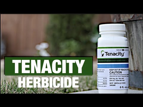 Tenacity Herbicide
