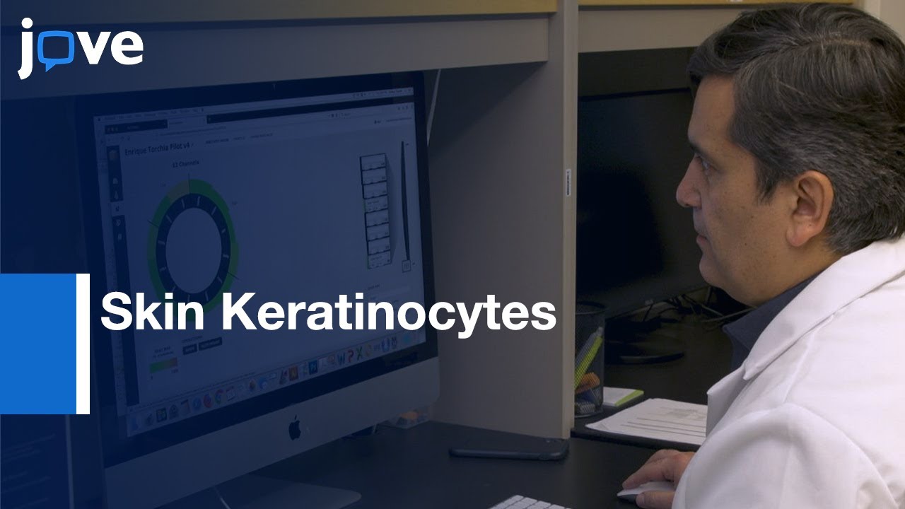 Skin Keratinocytes for Cell Cycle Specific Analysis by Mass Cytometry | Protocol Preview