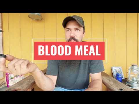 Homemade BioChar- Easy Homemade Organic Fertilizer for Spring