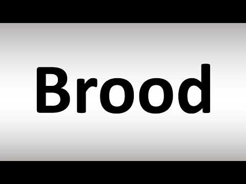 How to Pronounce Brood