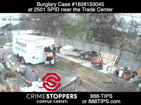 Auto Theft Task Force Wants Help From Public To Catch Burglars | CCPD ...