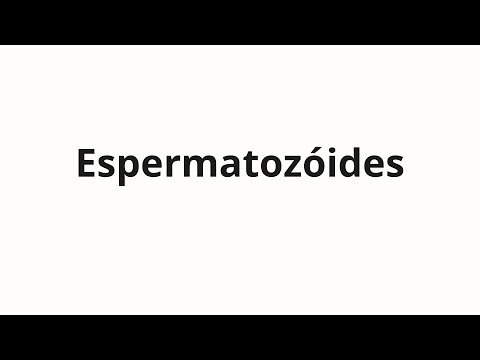 How to pronounce Espermatoz贸ides