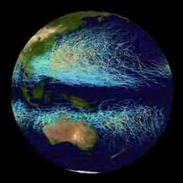 Hurricane Tracks Animation and Cumulative Map