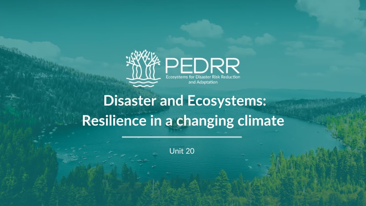 Unit 20 - Problem solving assignment peer review of assignments