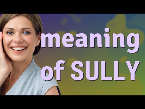 Sully | meaning of Sully